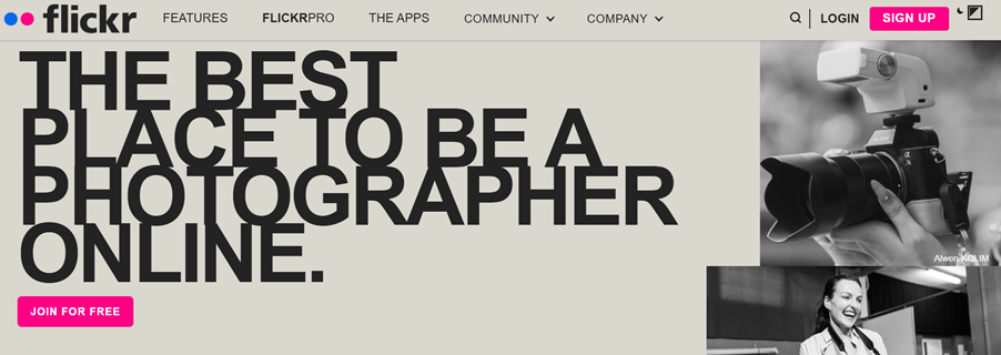 14 Ultimate Royalty-Free Image Websites in 2026
